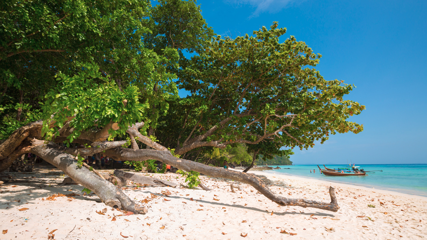 Magical Andaman - Travel Maker - Tour and Hotel Booking Packages in ...